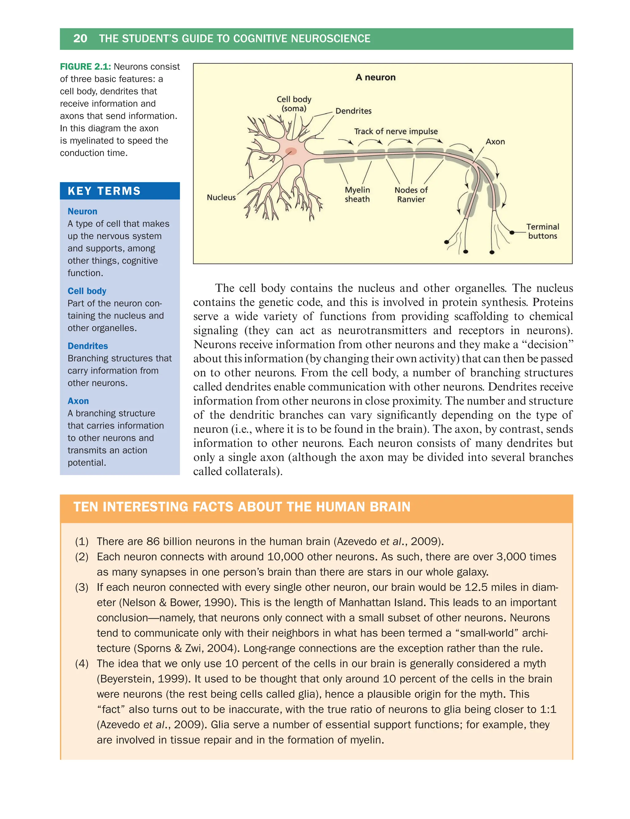Ward, J. (2020). The Student's Guide to Cognitive Neuroscience.pdf | Educational Assessment ...