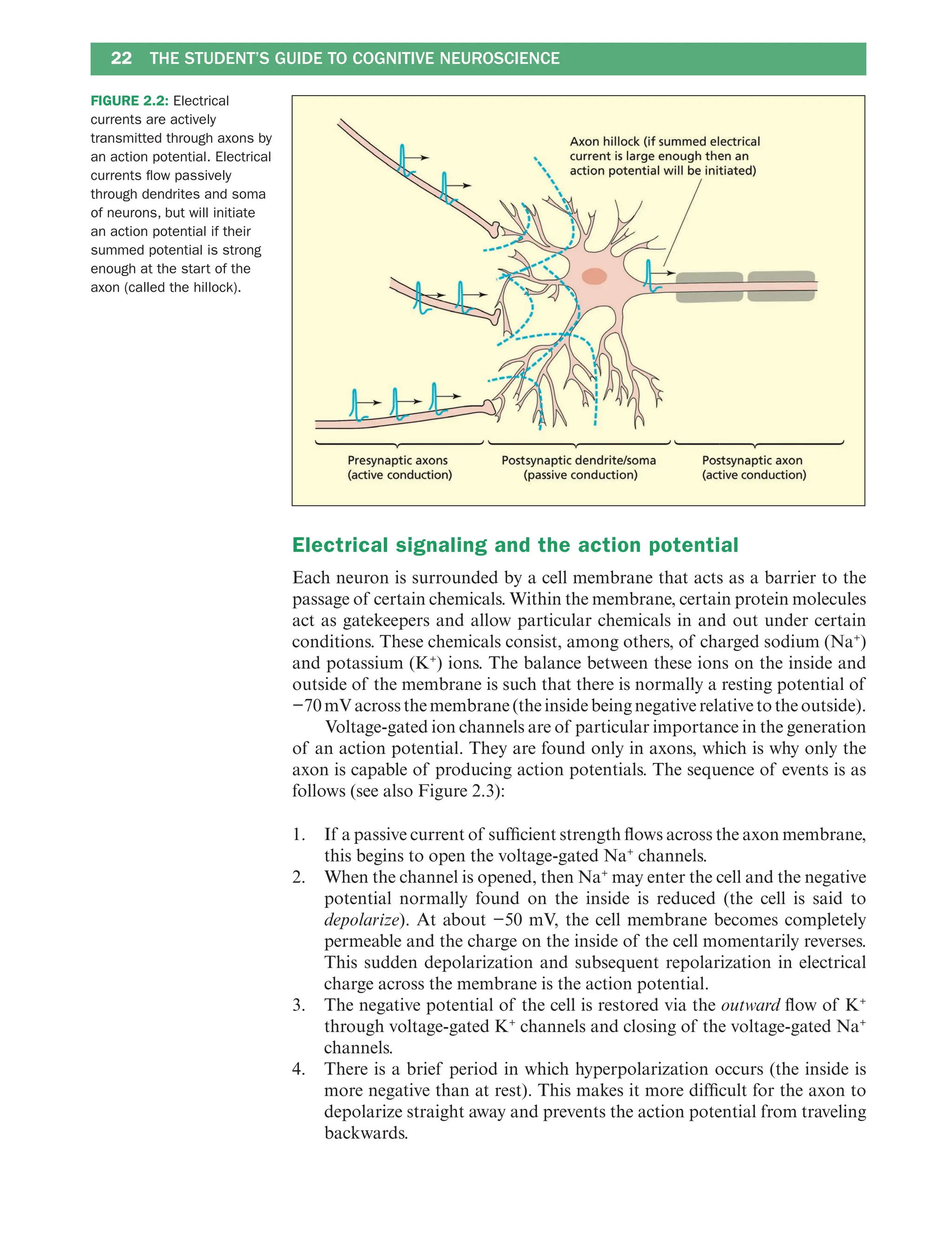 Ward, J. (2020). The Student's Guide to Cognitive Neuroscience.pdf