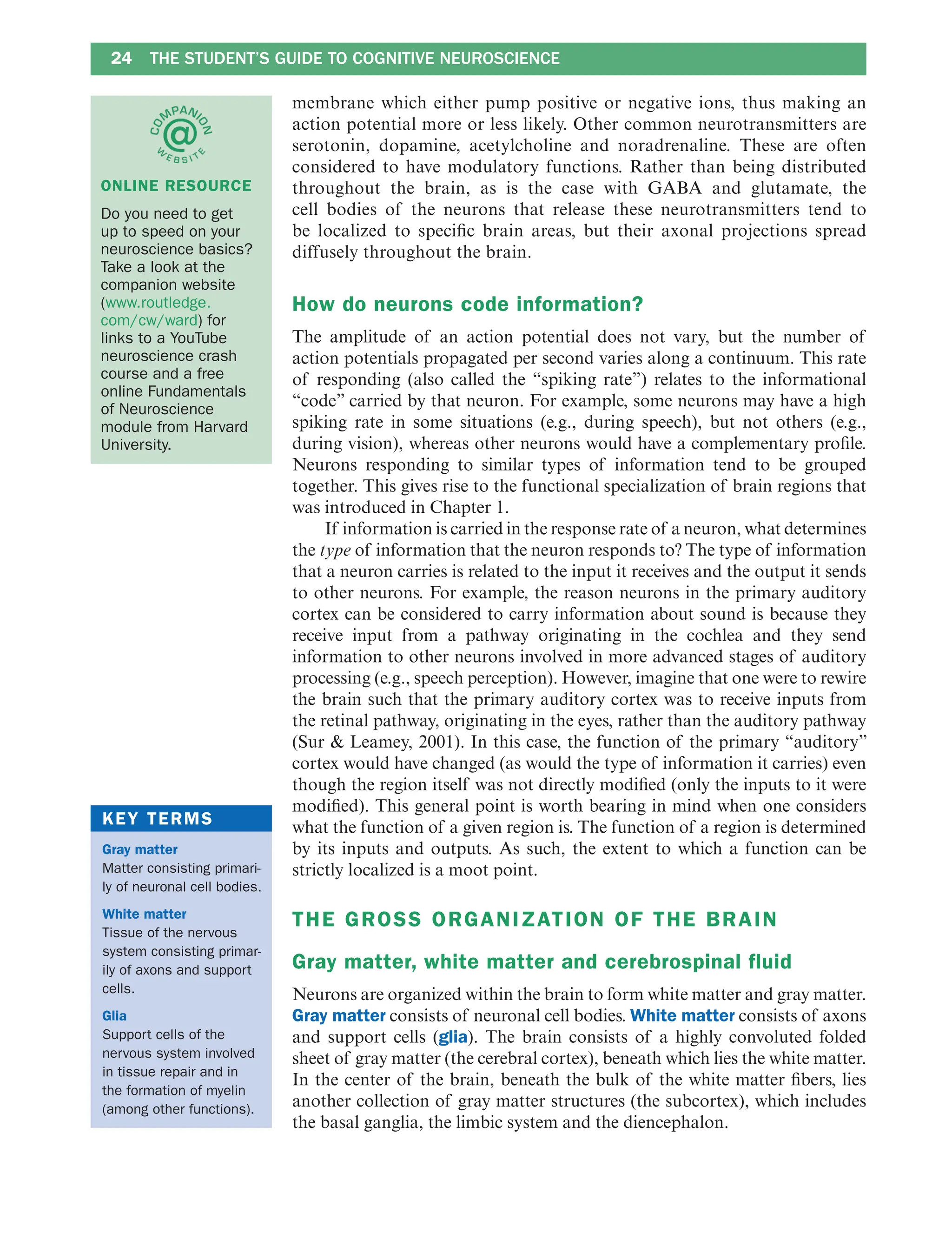 Ward, J. (2020). The Student's Guide to Cognitive Neuroscience.pdf | Educational Assessment ...