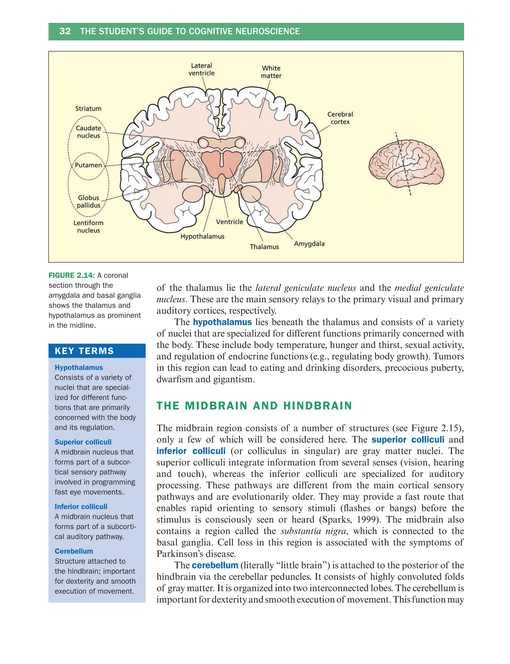 Ward, J. (2020). The Student's Guide to Cognitive Neuroscience.pdf