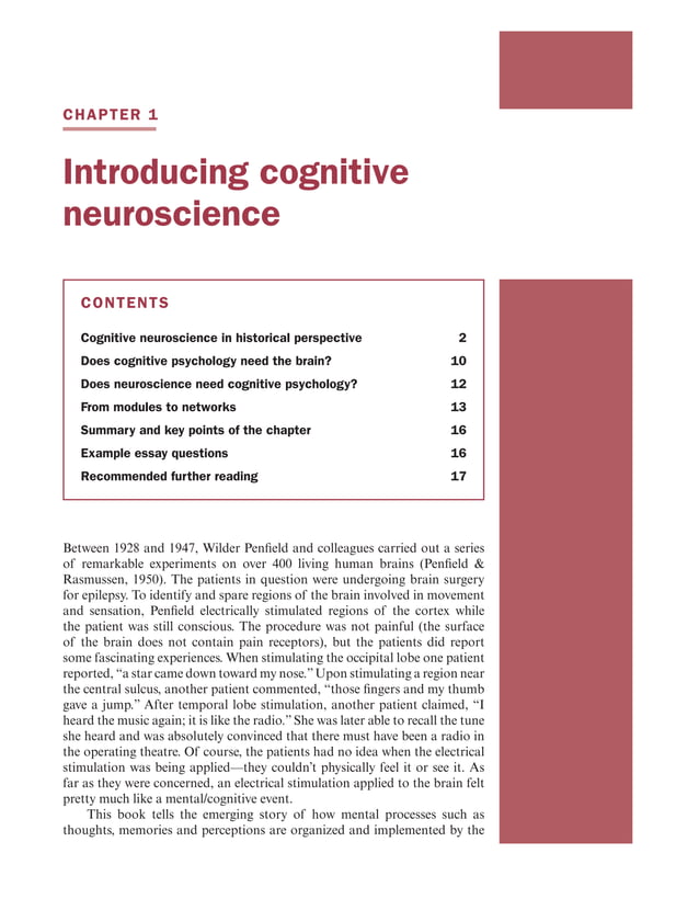 Ward, J. (2020). The Student's Guide to Cognitive Neuroscience.pdf | Educational Assessment ...