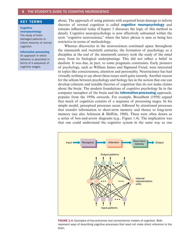 Ward, J. (2020). The Student's Guide to Cognitive Neuroscience.pdf | Educational Assessment ...