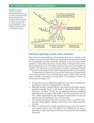 Ward, J. (2020). The Student's Guide to Cognitive Neuroscience.pdf