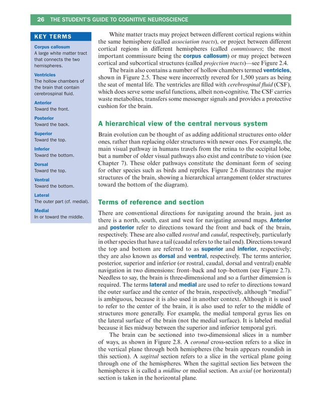 Ward, J. (2020). The Student's Guide to Cognitive Neuroscience.pdf | Educational Assessment ...