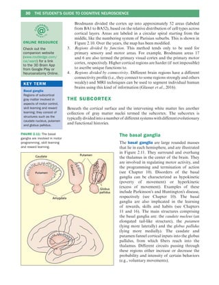 Ward, J. (2020). The Student's Guide to Cognitive Neuroscience.pdf