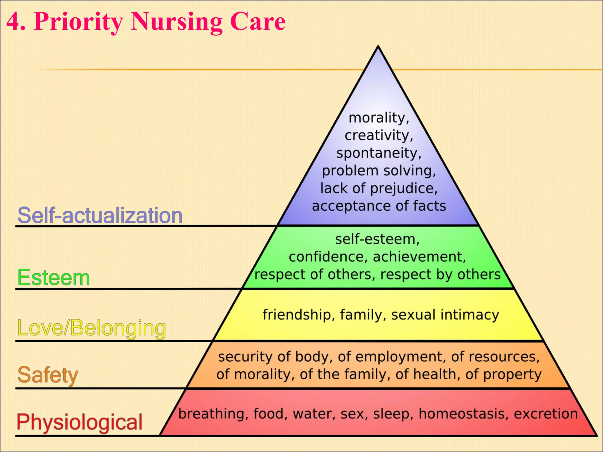Ward Management | PPT