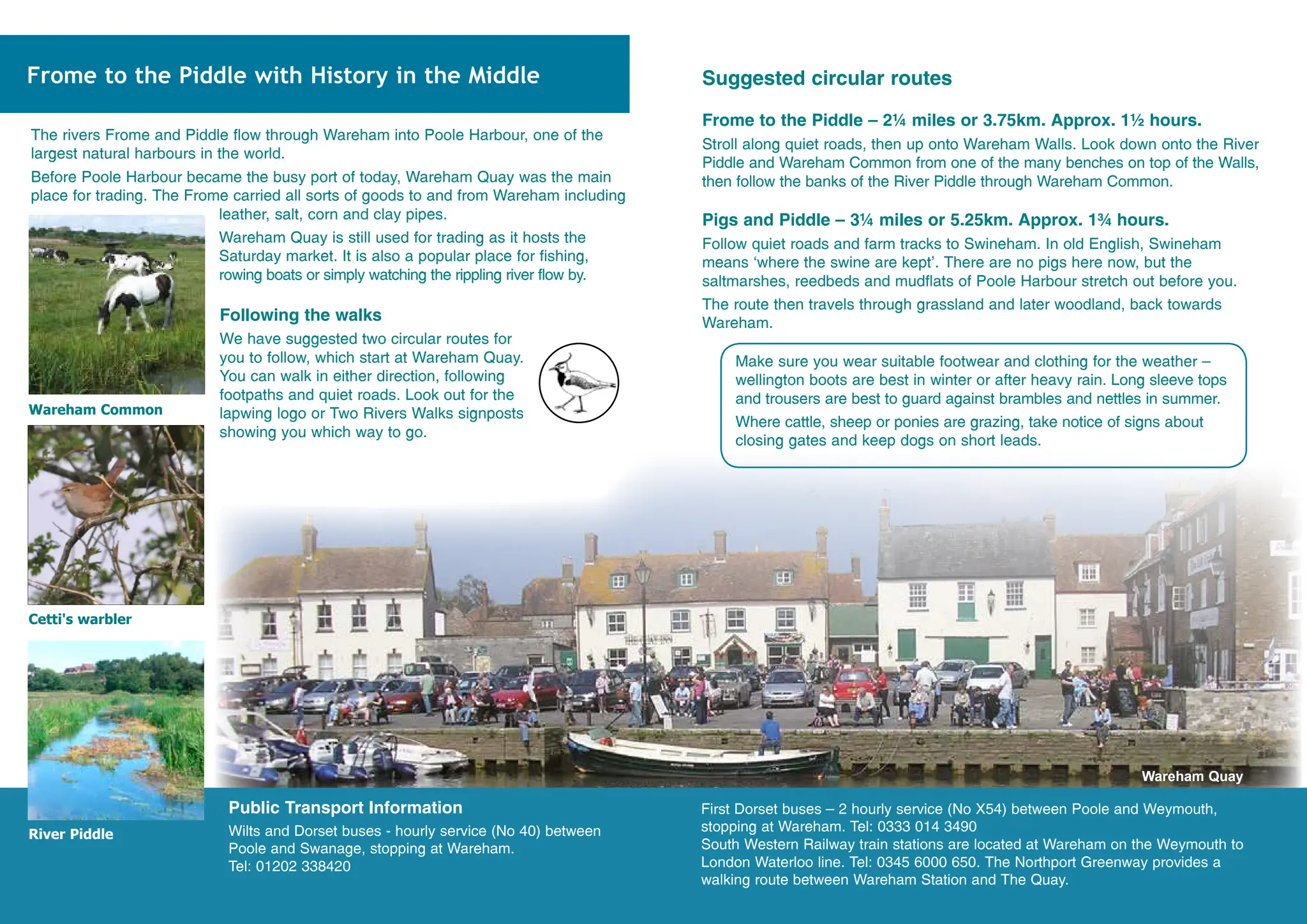 Wareham-two-rivers-walk-leaflet.pdf