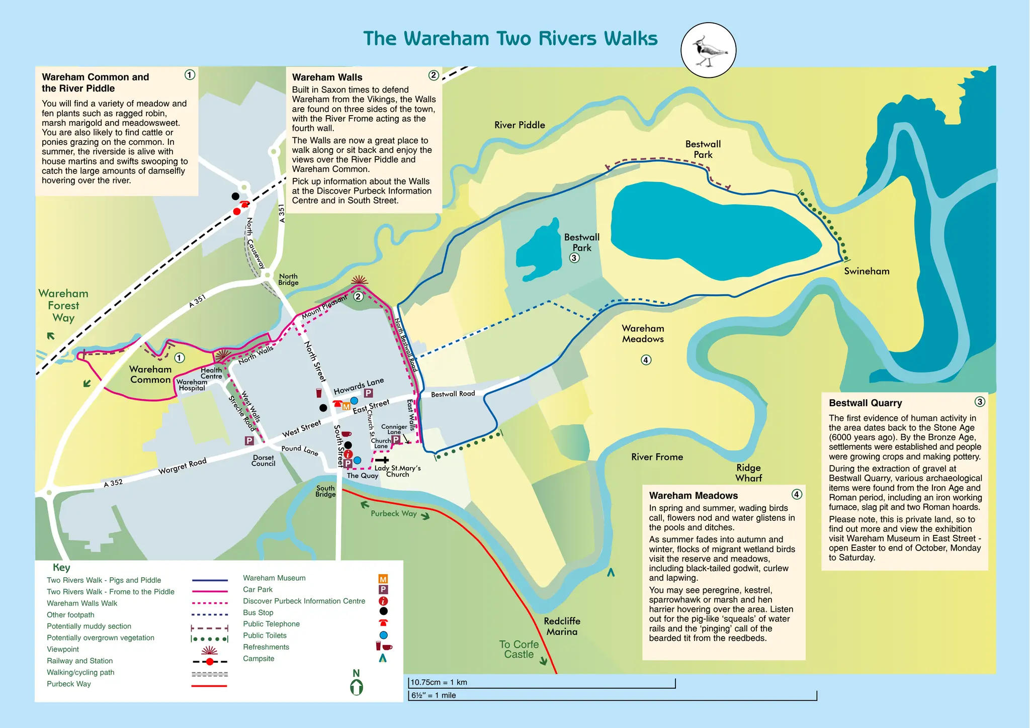 Wareham-two-rivers-walk-leaflet.pdf