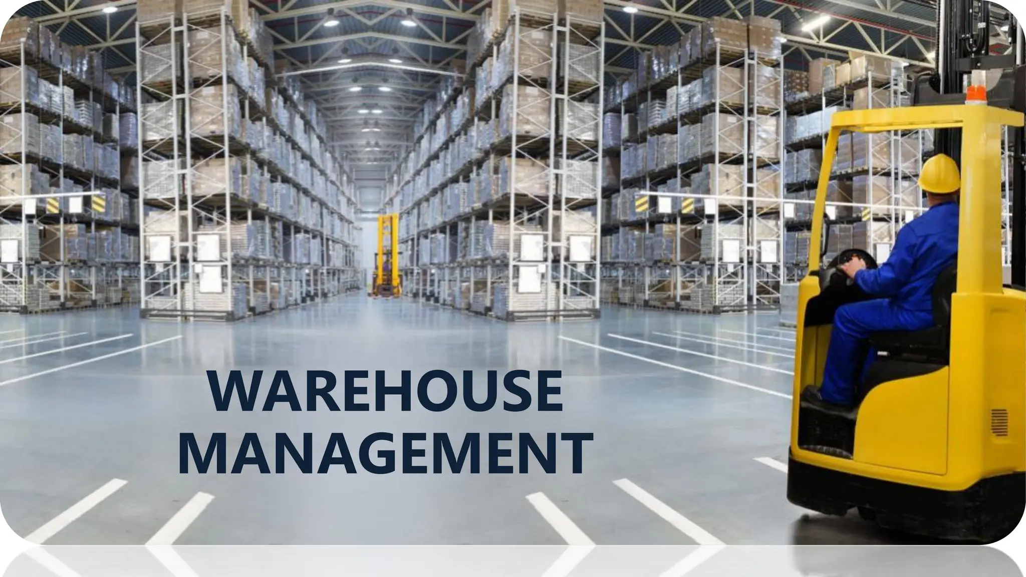 Warehouse Management Public Training.pdf