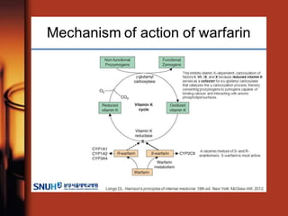 Warfarin Mechanism Of Action