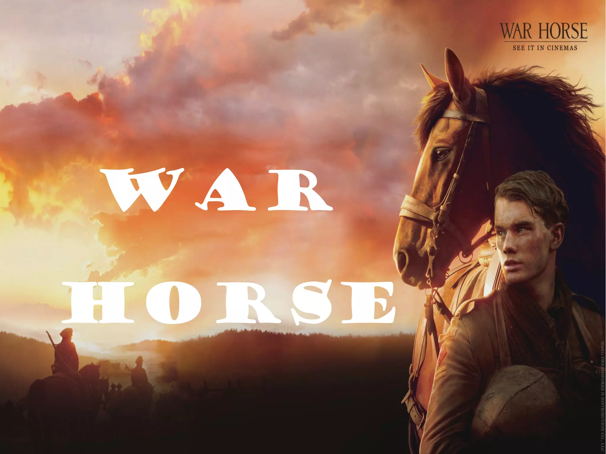 War horse | ODP