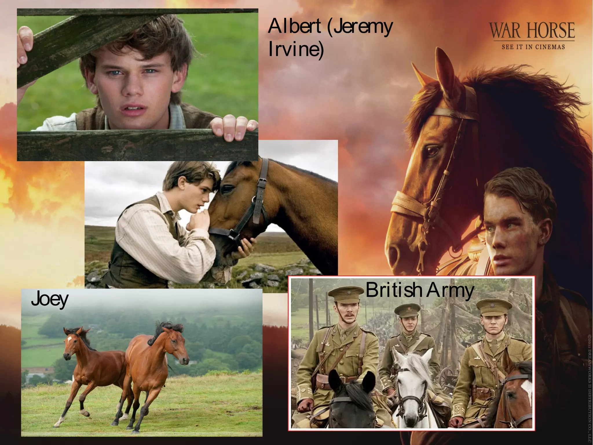 War horse | ODP