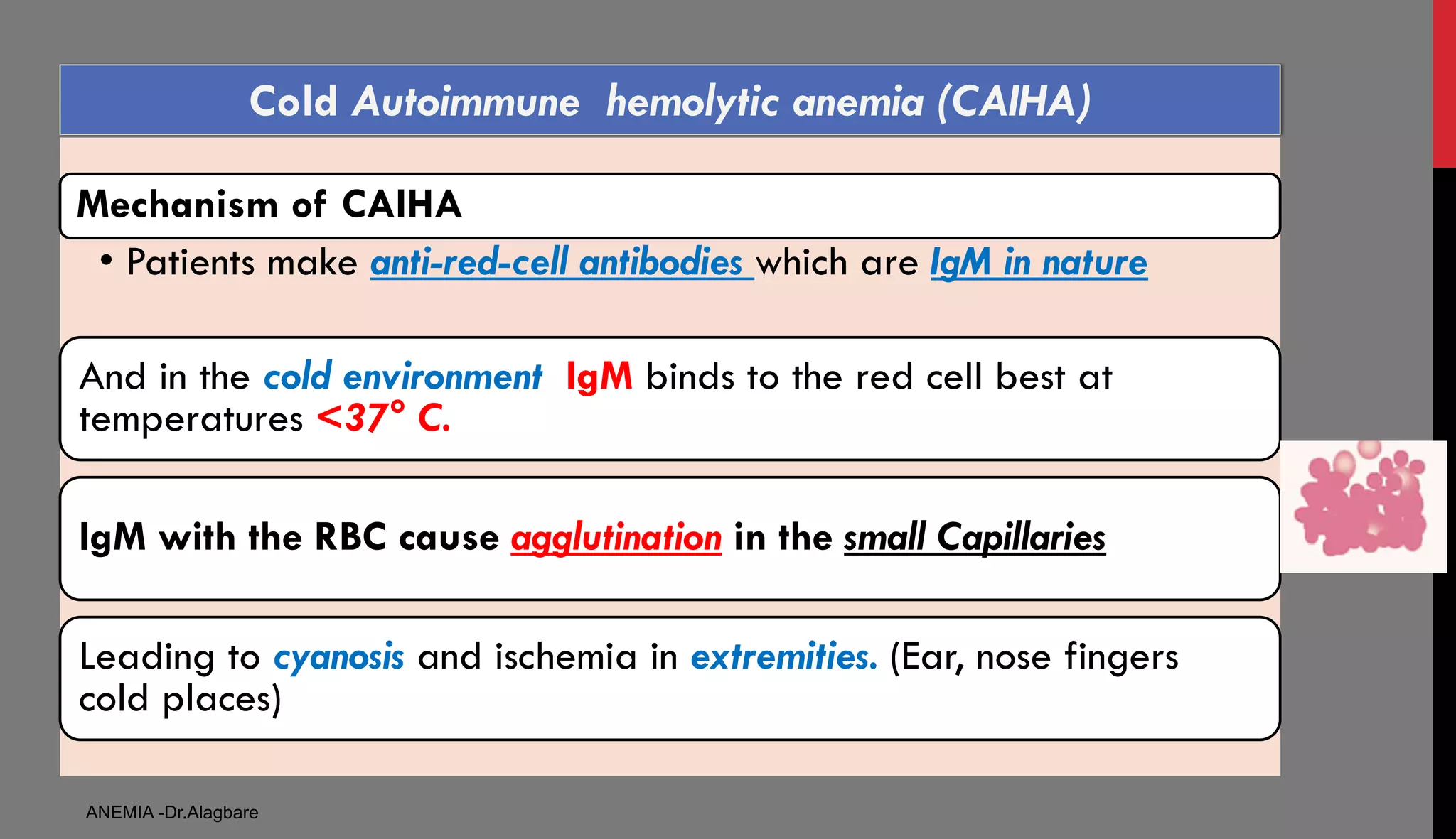 Warm and cold autoimmune hemolytic anemia | PDF