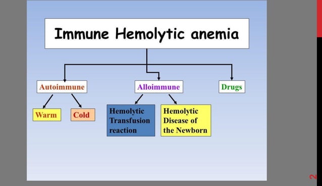 Warm and cold autoimmune hemolytic anemia | PDF