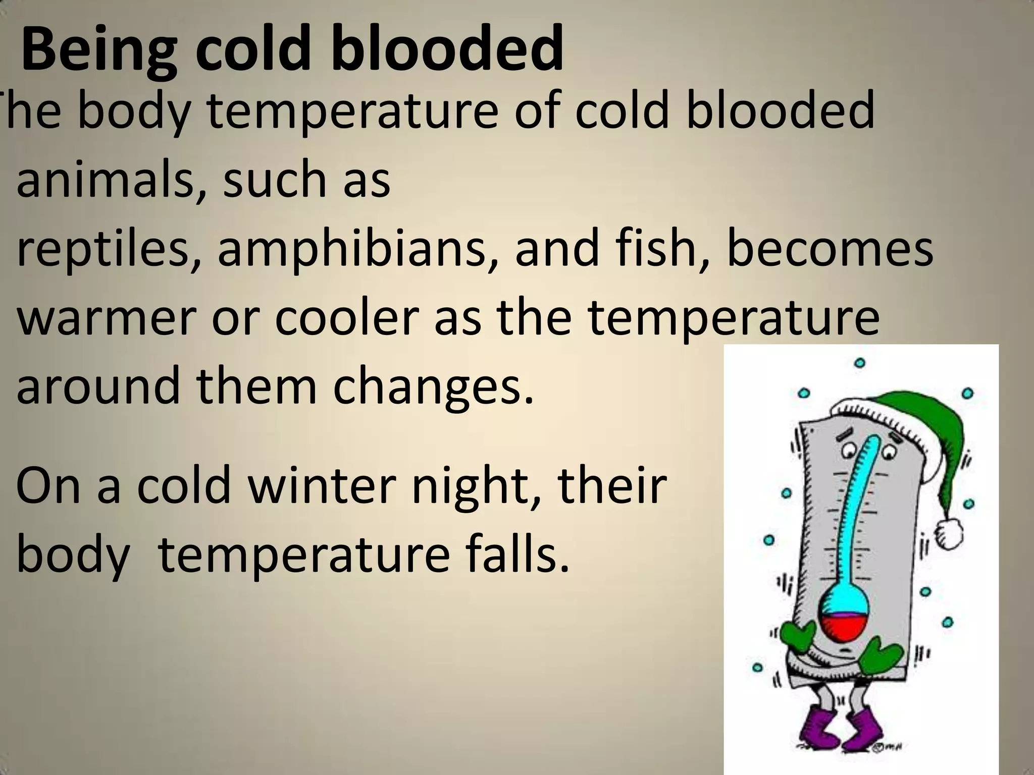 Warm and cold blooded animals (elem teach) | PPTX