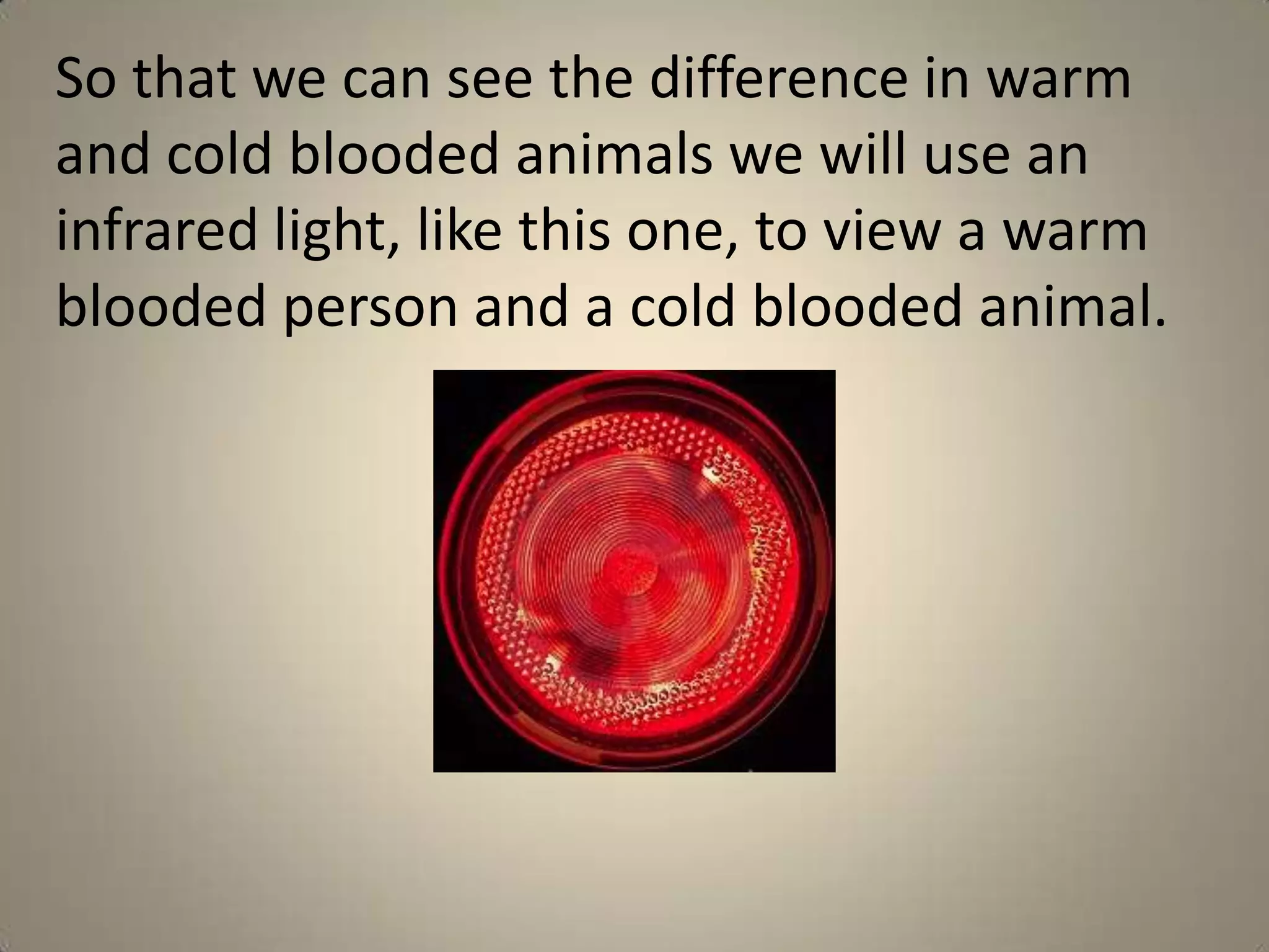 Warm and cold blooded animals (elem teach) | PPTX