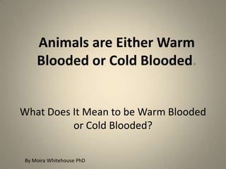 Warm and cold blooded animals (elem teach) | PPTX