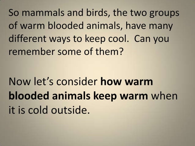 Warm and cold blooded animals (elem teach) | PPTX