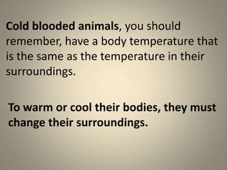 Cold Blooded Animals Examples