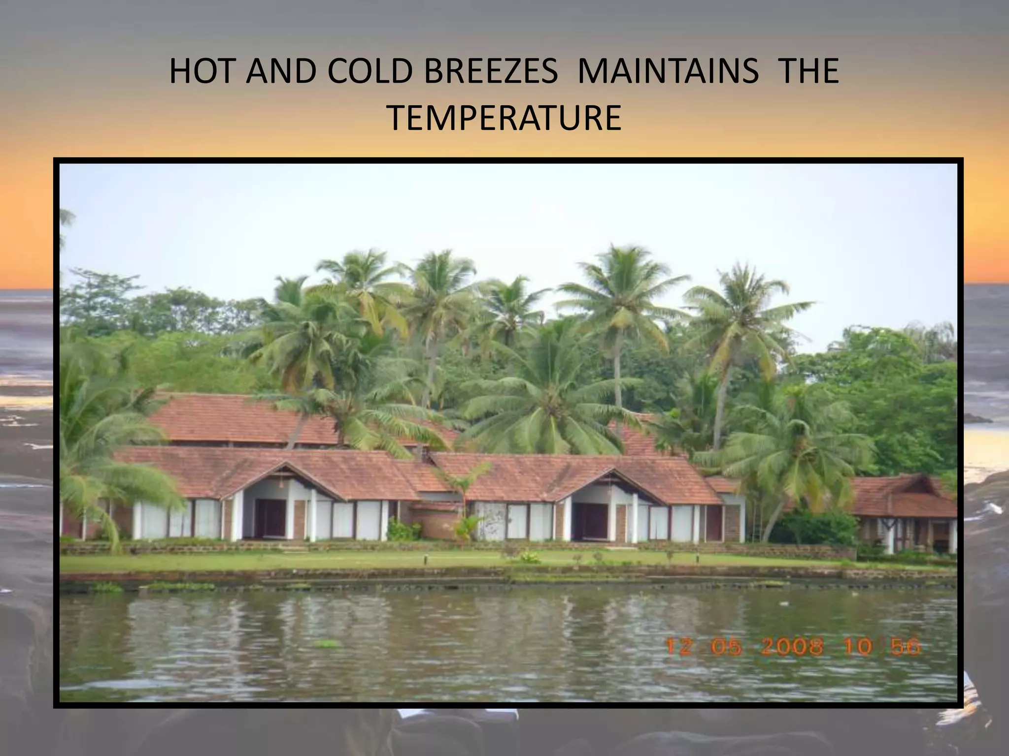 Warm and humid climate | PPTX