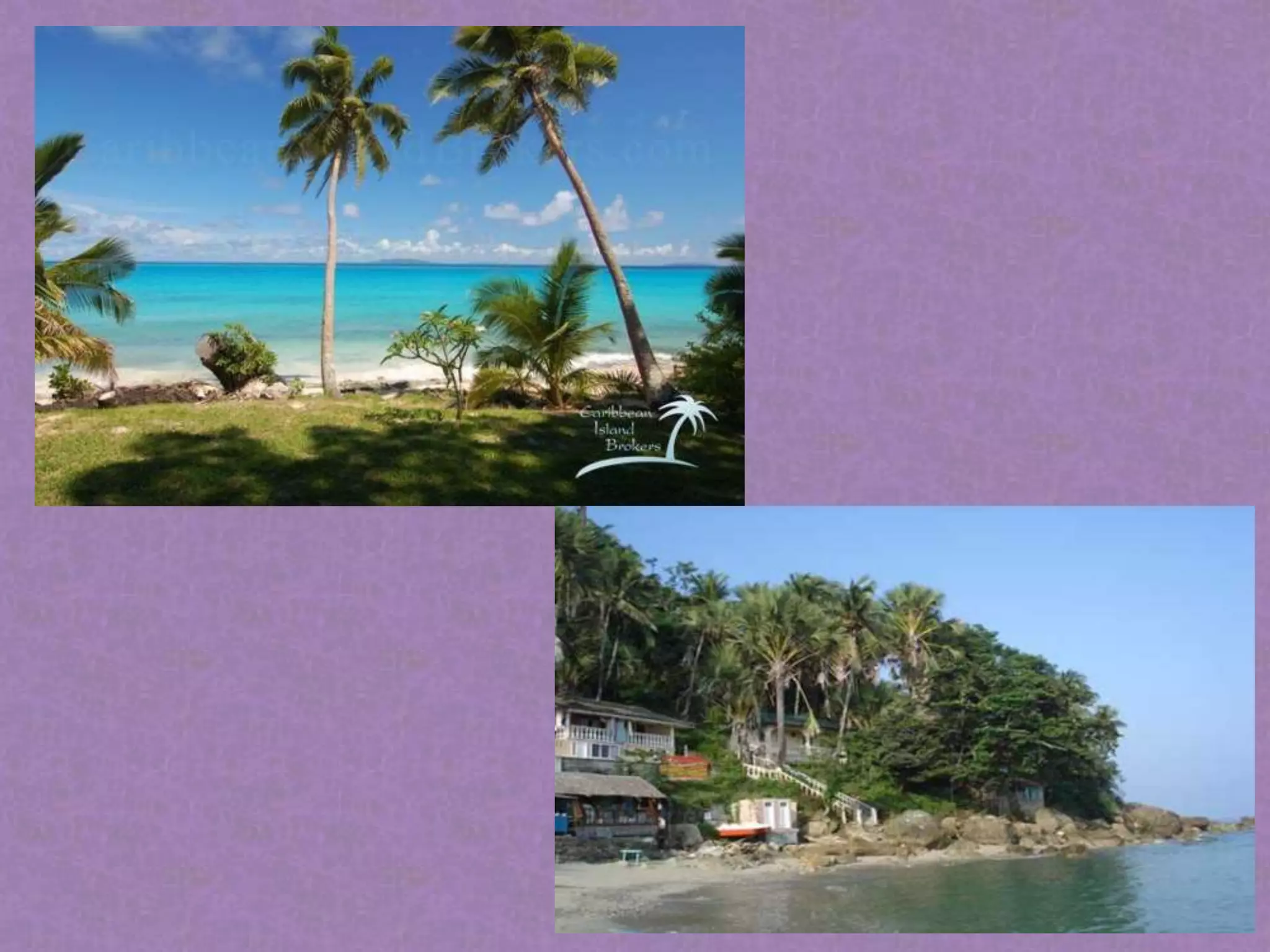 Warm and humid climate | PPTX