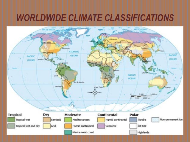 Warm and humid climate