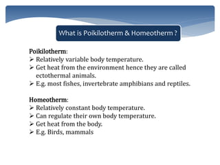 Warm Blooded Animals (homeotherms) Dominate the Terrestrial Environment ...