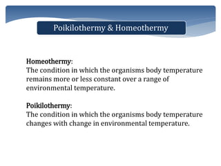 Warm Blooded Animals (homeotherms) Dominate the Terrestrial Environment ...