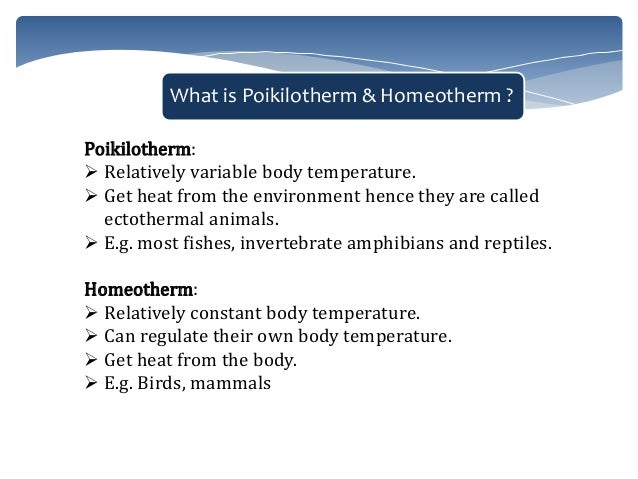 Warm Blooded Animals (homeotherms) Dominate the Terrestrial Environme…