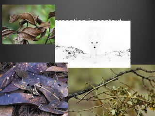 Warm Data Lab Helsinki | PPT