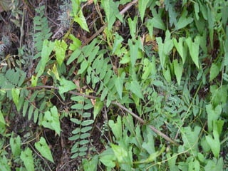 Warm Data Lab Helsinki | PPT