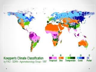 Warm humid climate | PPTX