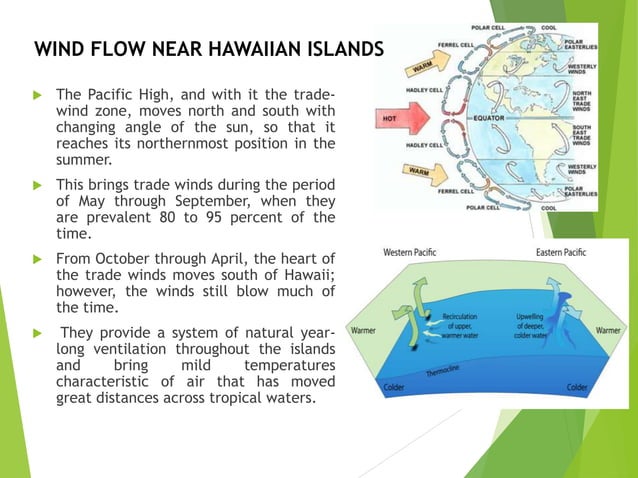 Warm humid island climate | PPT