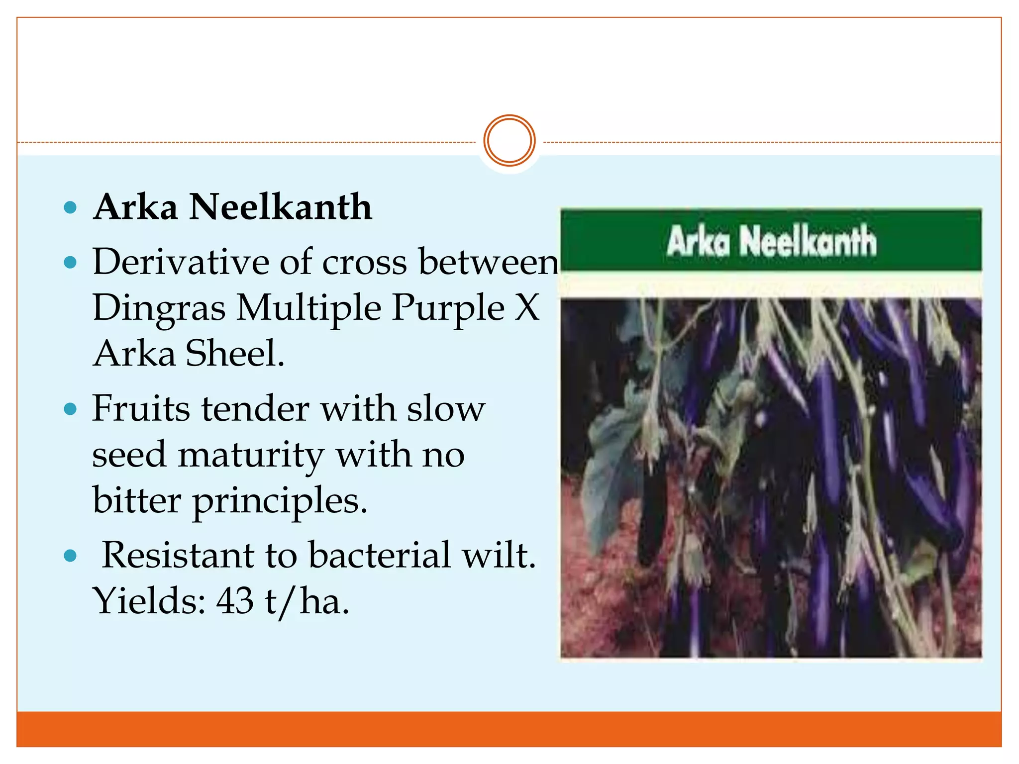 production technology of brinjal | PPTX