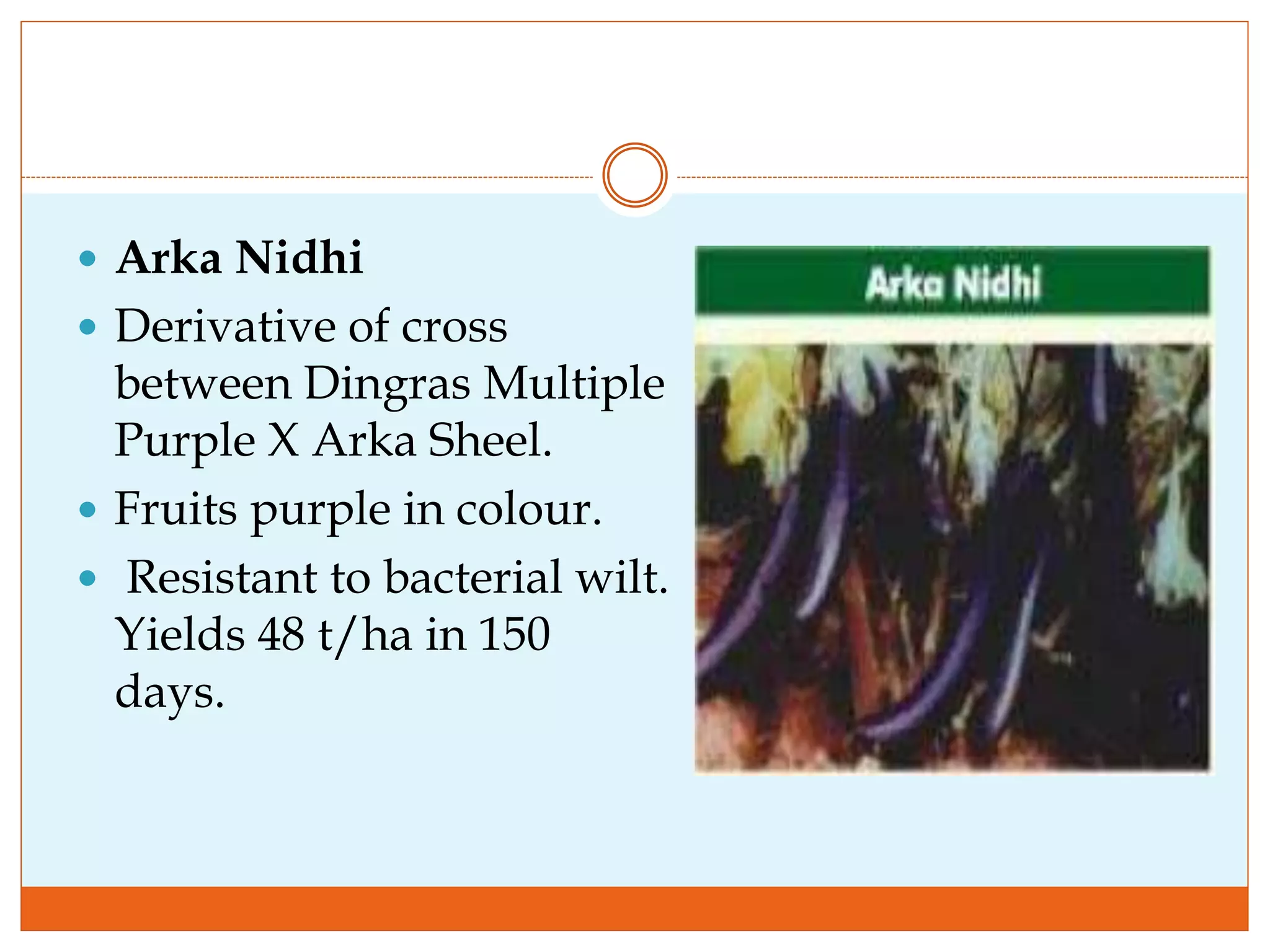 production technology of brinjal | PPTX