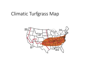 Warm Season Grasses | PDF