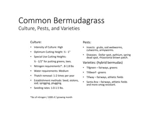 Warm Season Grasses | PDF