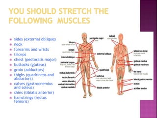 WARM UP EXERCISES SCHOOL STUDENTS PHYSICAL AND HEALTH EDUCATION | PPT
