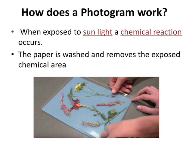 Warm up #8 photogram | PPT