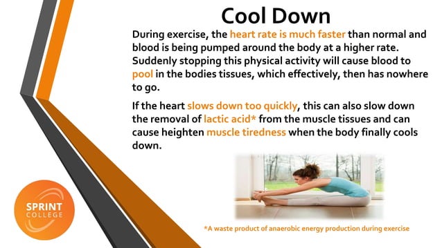 Warm Up and Cool Down | PPTX