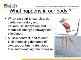 Types of warming up | PPTX