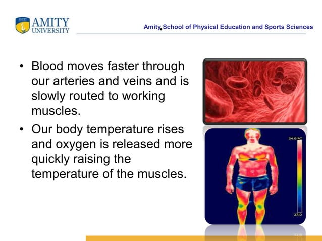 Types of warming up | PPTX | Fitness and Exercise | Healthy Living