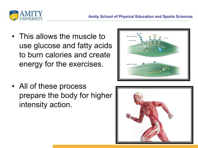 Types of warming up | PPTX | Fitness and Exercise | Healthy Living
