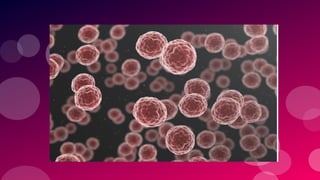 warning signs of cancer.pptx.. Ca lungs, | PPTX