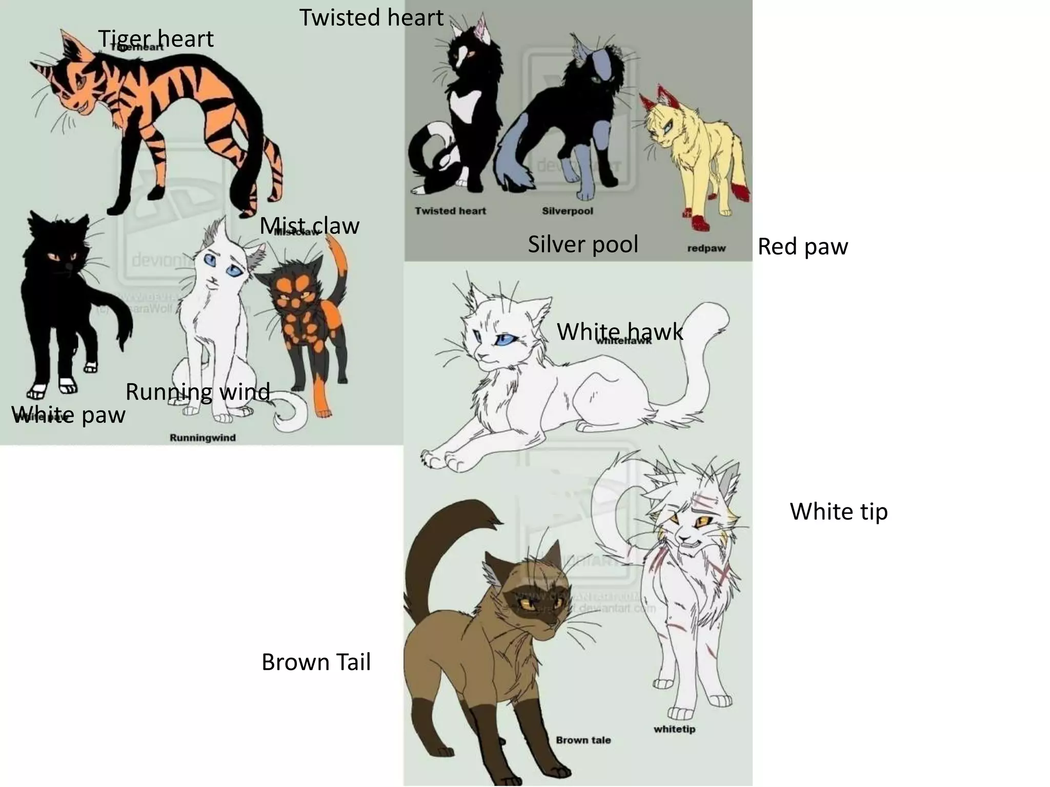 Warrior cats group 1 | PPTX