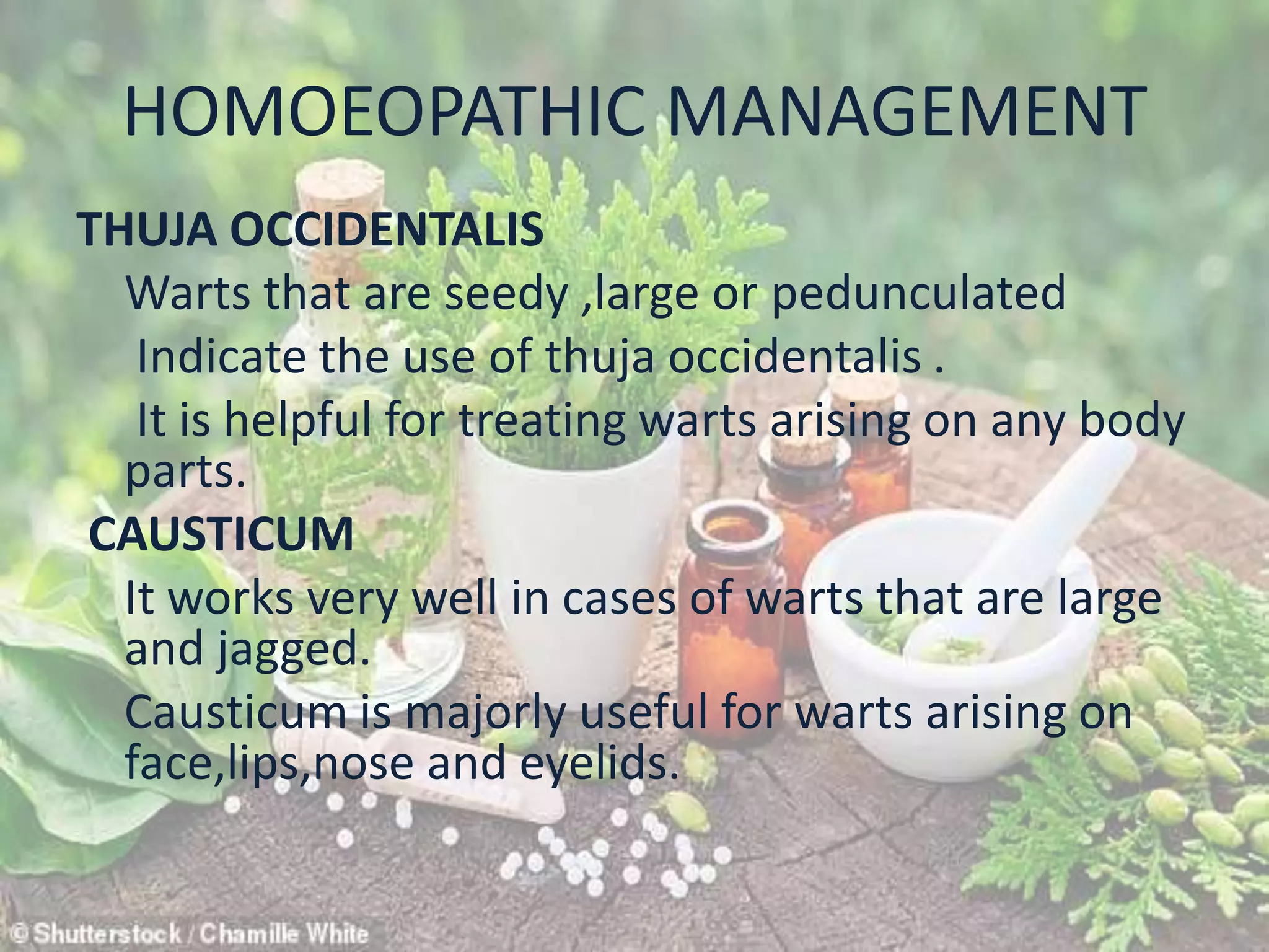 Warts | PDF
