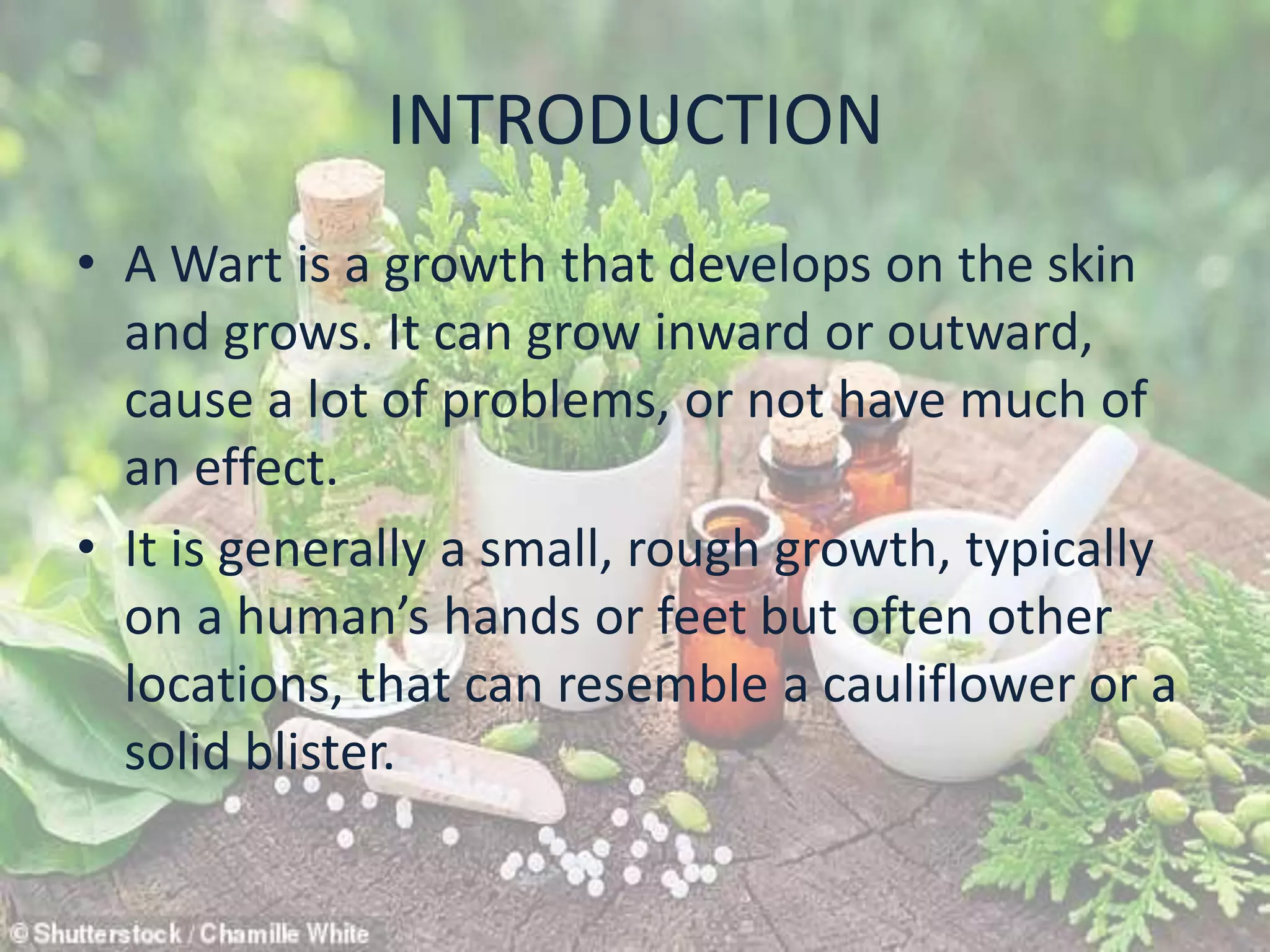 Warts | PDF