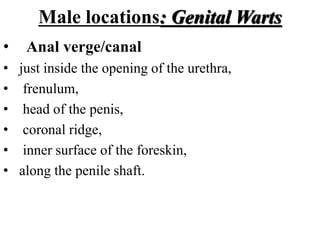 Genital Warts | PPTX