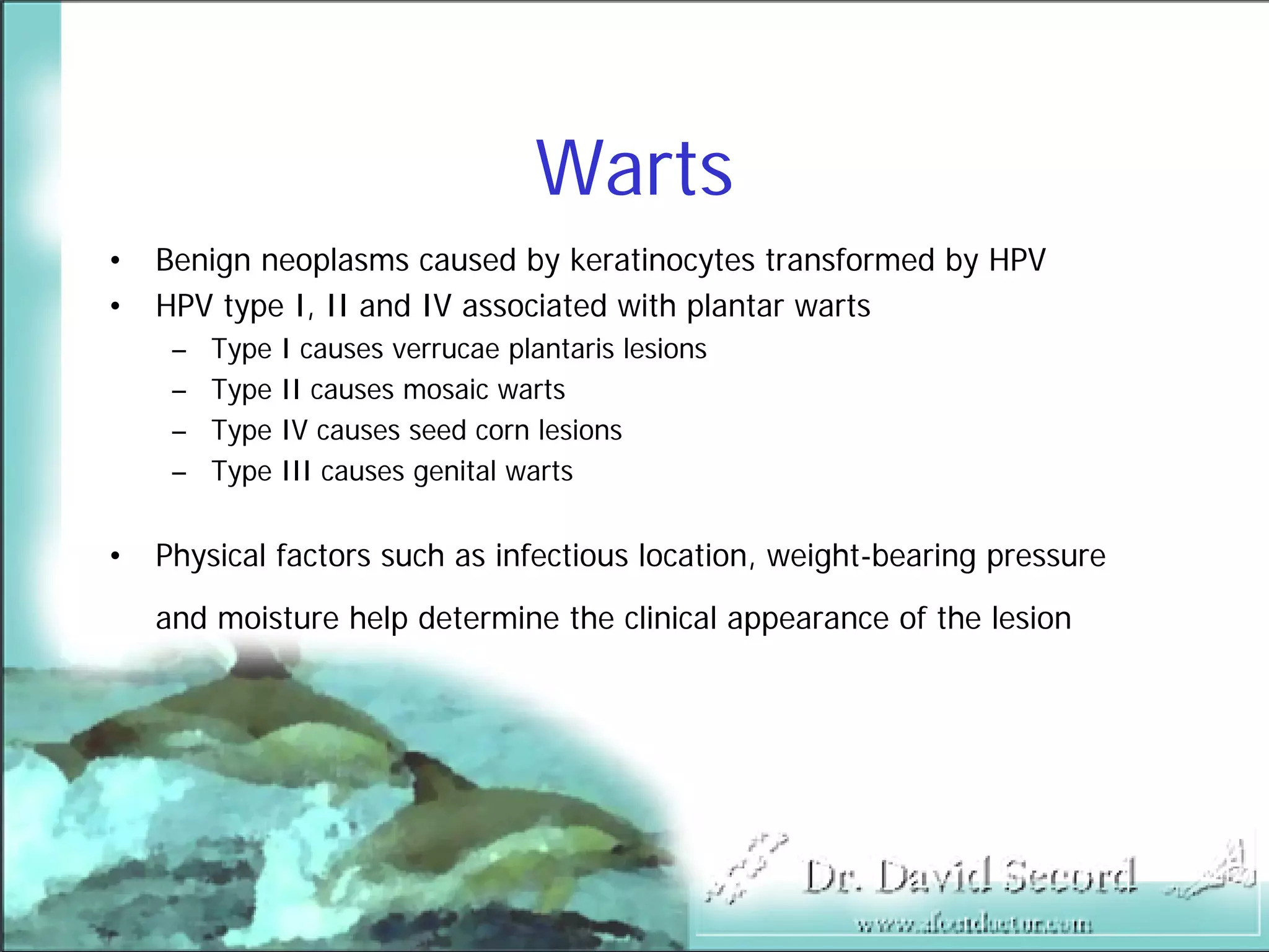 Warts And Lesions | PDF