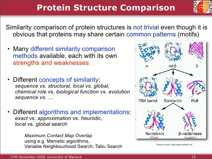 Protein Structure Alignment And Comparison
